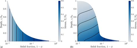 Compaction Profiles For The Theoretical Model Showing Solid Fraction