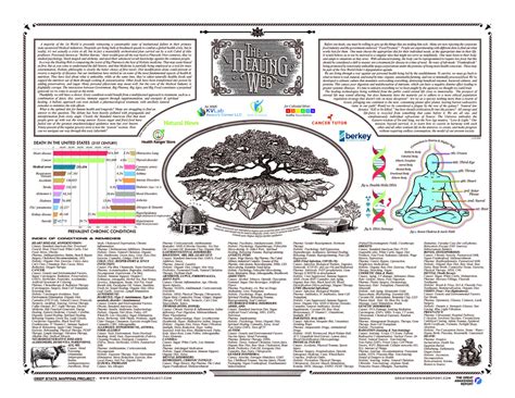 Deep State Mapping Project Whats Happening