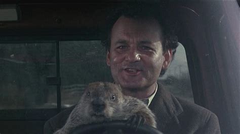 Famous Quotes From The Movie Groundhog Day Quotesgram