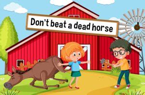 21 Common Horse Sayings And Idioms Meanings And Origins