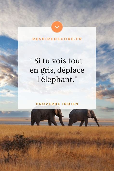 Conseils De Vie Citation Inspirante Citations Inspirantes Citation Citations Historiques