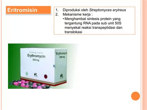 Bioteknologi Dalam Bidang Obat Obatan Pptx