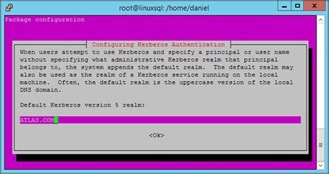 Configure Sql Server On Linux To Use Windows Authentication