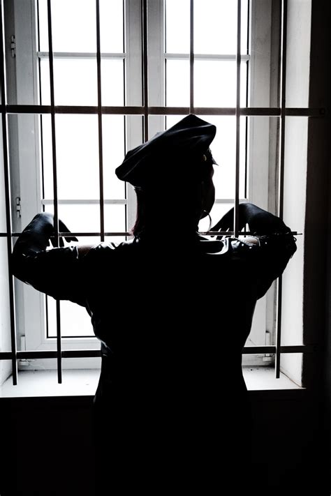 Profibdsm Galerie