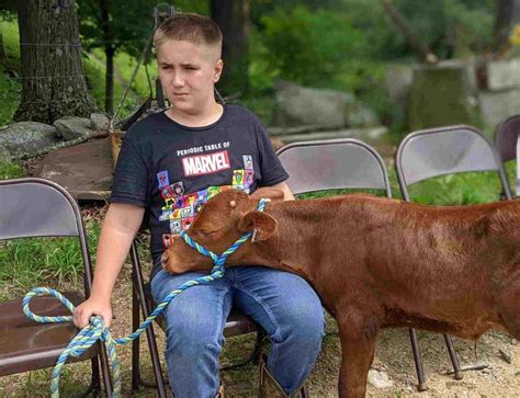 Soule Mr Devon Isnt Like Other Calves Concord Nh Patch