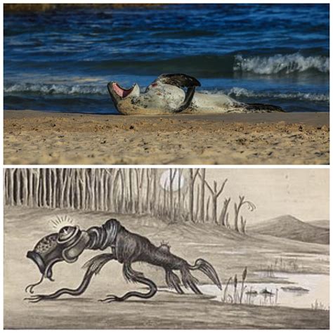 Bunyip