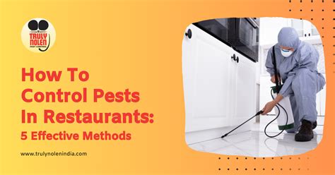 How To Control Pests In Restaurants 5 Effective Methods Truly Blog