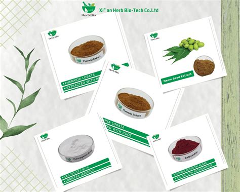 Top Six Herbal Extract Powder Suppliers In China You Should Discover