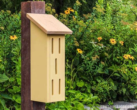 How To Make A Butterfly House At Lucy Sutcliffe Blog