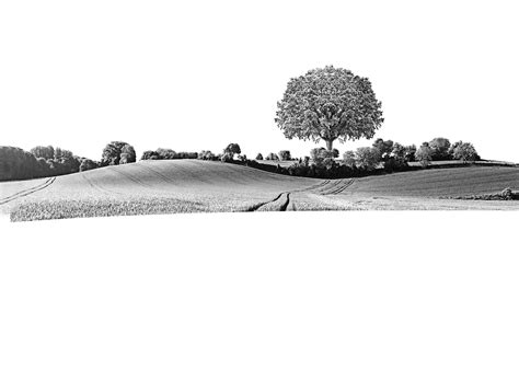 دسته بندی محصولات صنایع غذایی نگین شانا، تولید کننده برتر انواع مربا و مارمالاد