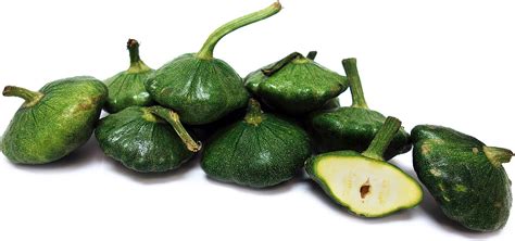 Green Round Squash Information And Facts