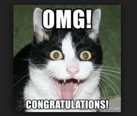 30 Congratulations Memes For Happy Occasions