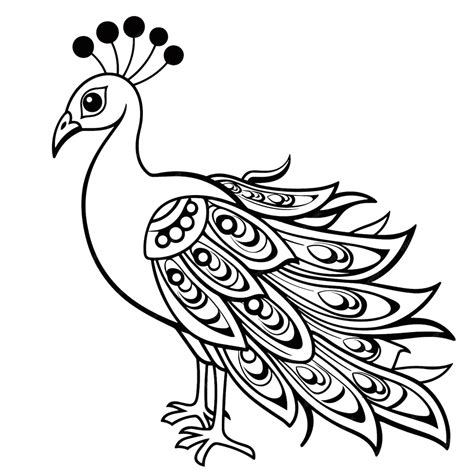 Hand Drawn Peacock Outline Illustration Black And White Coloring Book