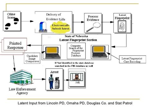 Automated Fingerprint Identification Systems