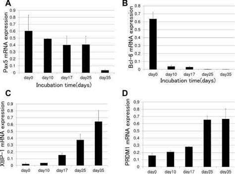 Expression Of Genes Encoding Transcription Factors Involved In The