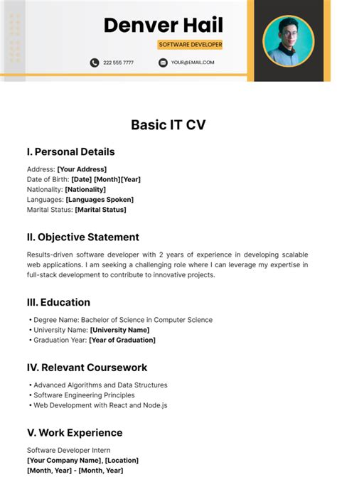 Free It Cv Templates To Edit Online And Download