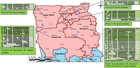 One Health Research On Tuberculosis The Noguchi Memorial Institute For Medical Research