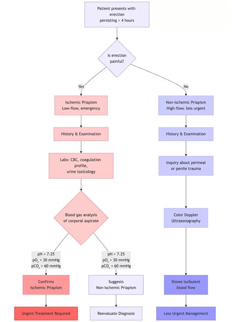 What Is Priapism The Erection Condition You Shouldnt Ignore