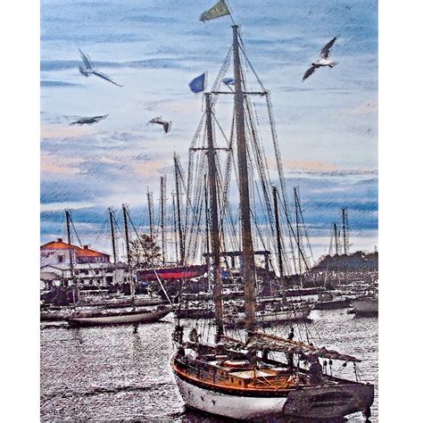 Fond Memories Of Maine Dr Susie Myers