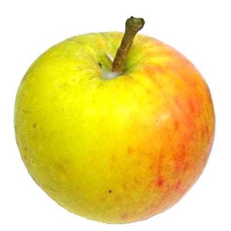 James Grieve Cocktail Recipe And Ingredients Adultbar