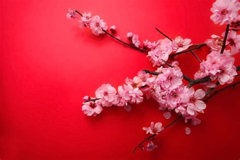 Romantic Chinese Flower Meanings Mandarin Blueprint