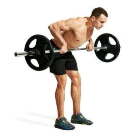Barbell Bent Over Row Exercise At Emma Rouse Blog