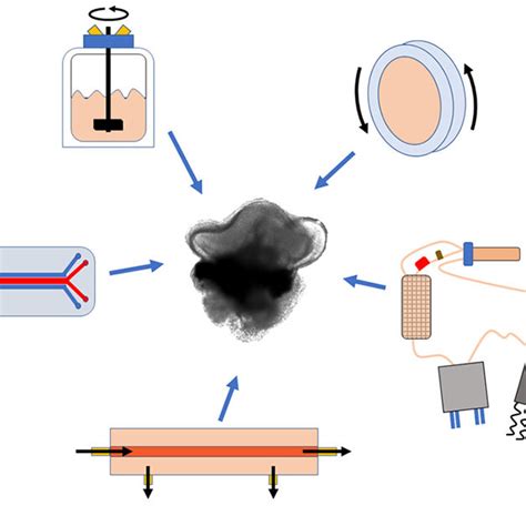 Bioreactor Systems For Producing Or Maintaining Stem Cell Derived Download Scientific Diagram