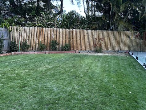 Whats Killing My Grass Rgardeningaustralia