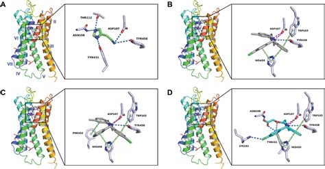 Protein Drug Interaction Diagram Of A Complex Between Histamine H1