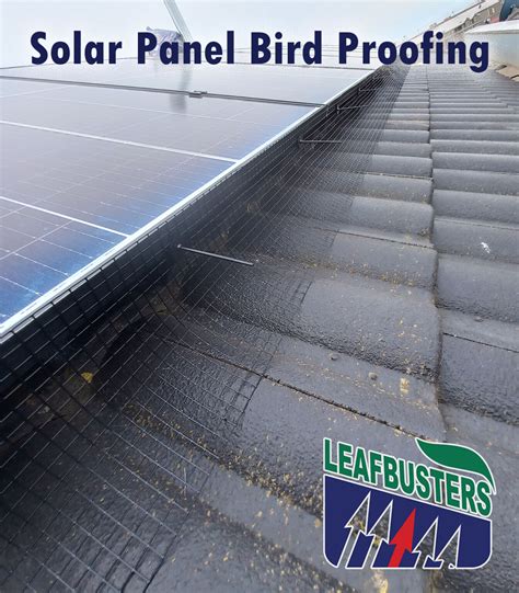 Solar Panel Bird Proofing Leafbusters