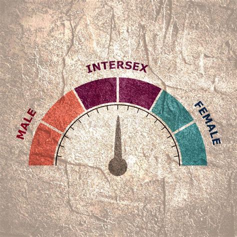 Abstract Intersex Concept Stock Illustration Illustration Of