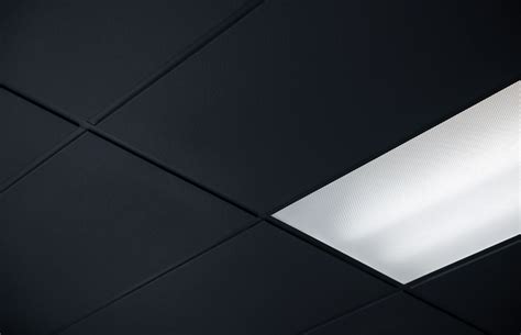 Team Wasserman Fit Out By Surface Archipro Nz