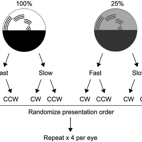 Schematic Of Testing Approach The Benham Disk Was Presented At Either