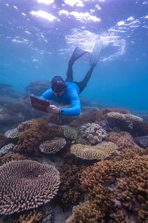 The Tourism Reef Protection Initiative Conclusion Ocean Rafting