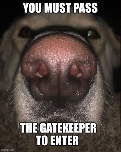 Gatekeeper Memes And S Imgflip Gatekeeper Memes And S Imgflip