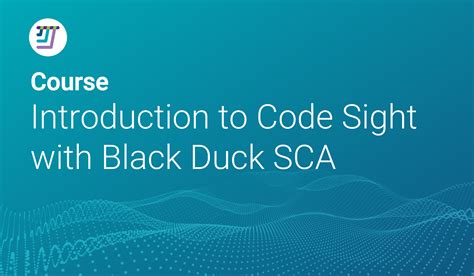 Introduction To Code Sight With Black Duck Sca