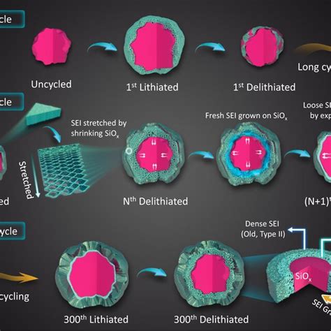 Schematic Illustration Of The Sei Aging Process On Siox Structural Download Scientific Diagram