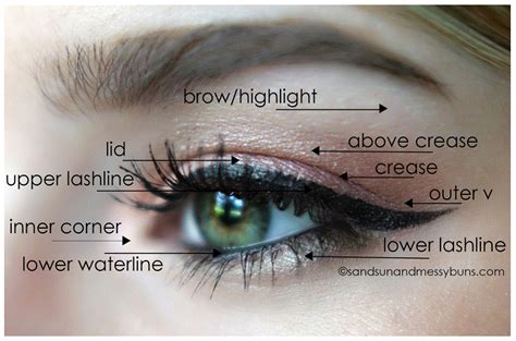 Eye Shape Makeup Chart Fevour Cosmetics