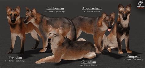 Speculative Coat Variations Of The Dire Wolf Aenocyon Dirus Pleistocene