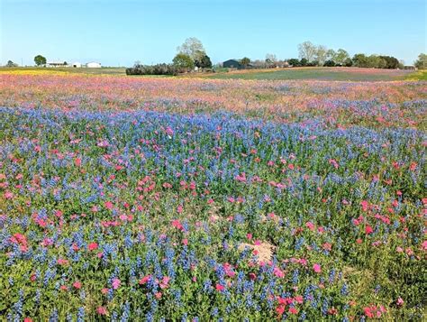 15 Best Places To See Bluebonnets In Texas