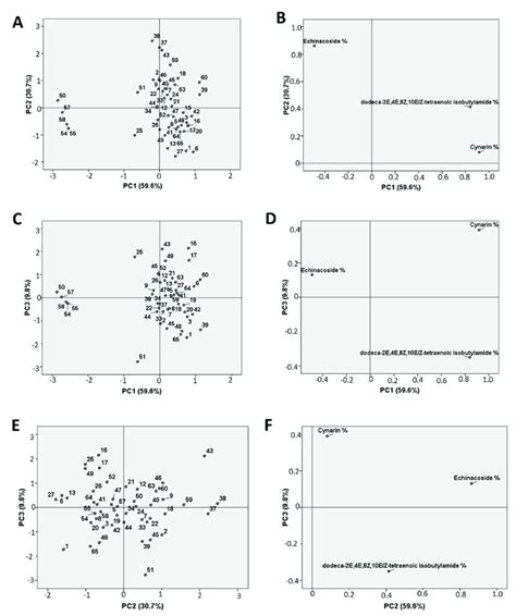 principal component analysis pca score plots and loading plots of 48