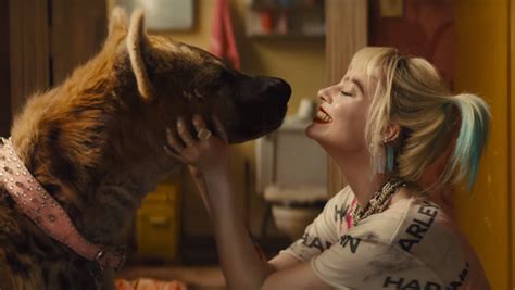 Birds Of Prey Whats The Deal With Harley Quinns Hyena