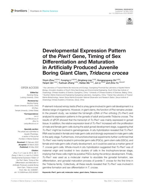 Pdf Developmental Expression Pattern Of The Piwi1 Gene Timing Of Sex Differentiation And