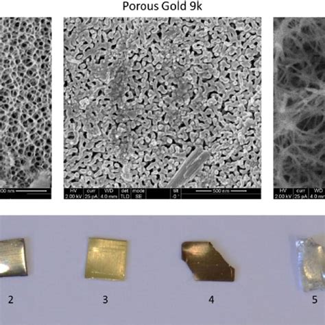 Sem Characterization Of The Different Porous Metal Surfaces These Download Scientific Diagram