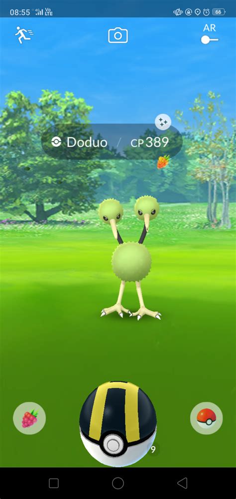 Doduo Pokémon How To Catch Stats Moves Strength Weakness Trivia Faqs