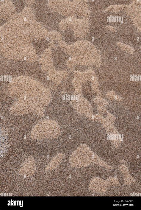 Dry And Wet Patches In The Sand On The Beach At Whitefish Dunes State