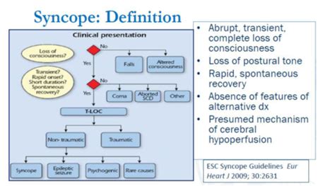 Approach To Syncope Kneller Flashcards Quizlet