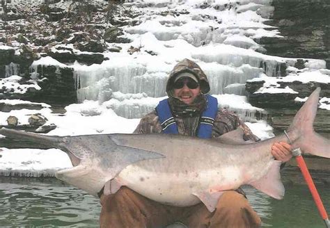 Apply For An Arkansas Paddlefish Permit And Snag Into A State Record