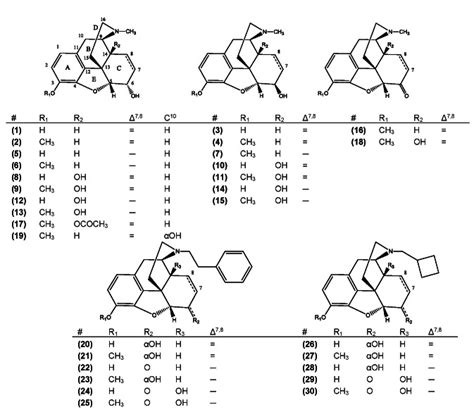 Characterization Of Opioid Agonist Morphine Derivatives With Emphasis