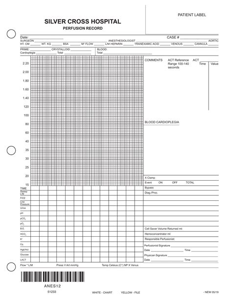 51233 Perfusion Record Package 100 Silver Cross Store